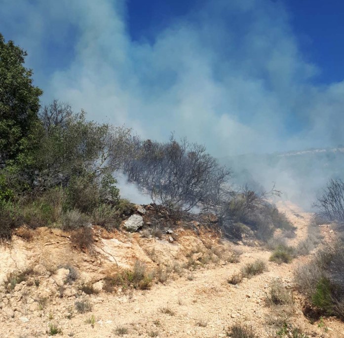 Πυρκαγιά σε δύσβατη περιοχή στους Γαργαλιάνους – Κάηκαν στύλοι της ΔΕΗ