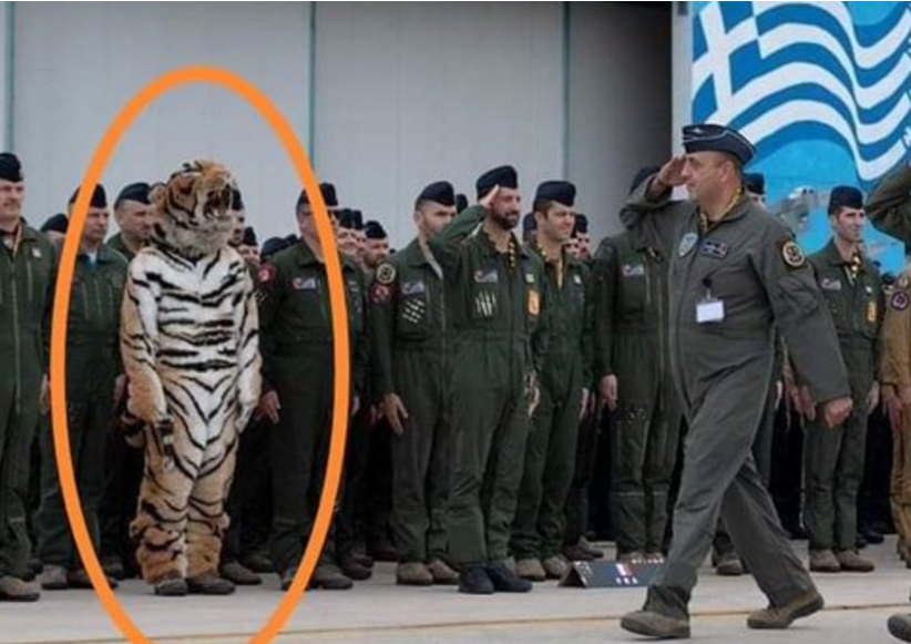 Άραξος: Viral οι «τίγρεις» σε άσκηση του ΝΑΤΟ – Χαμός στο Twitter