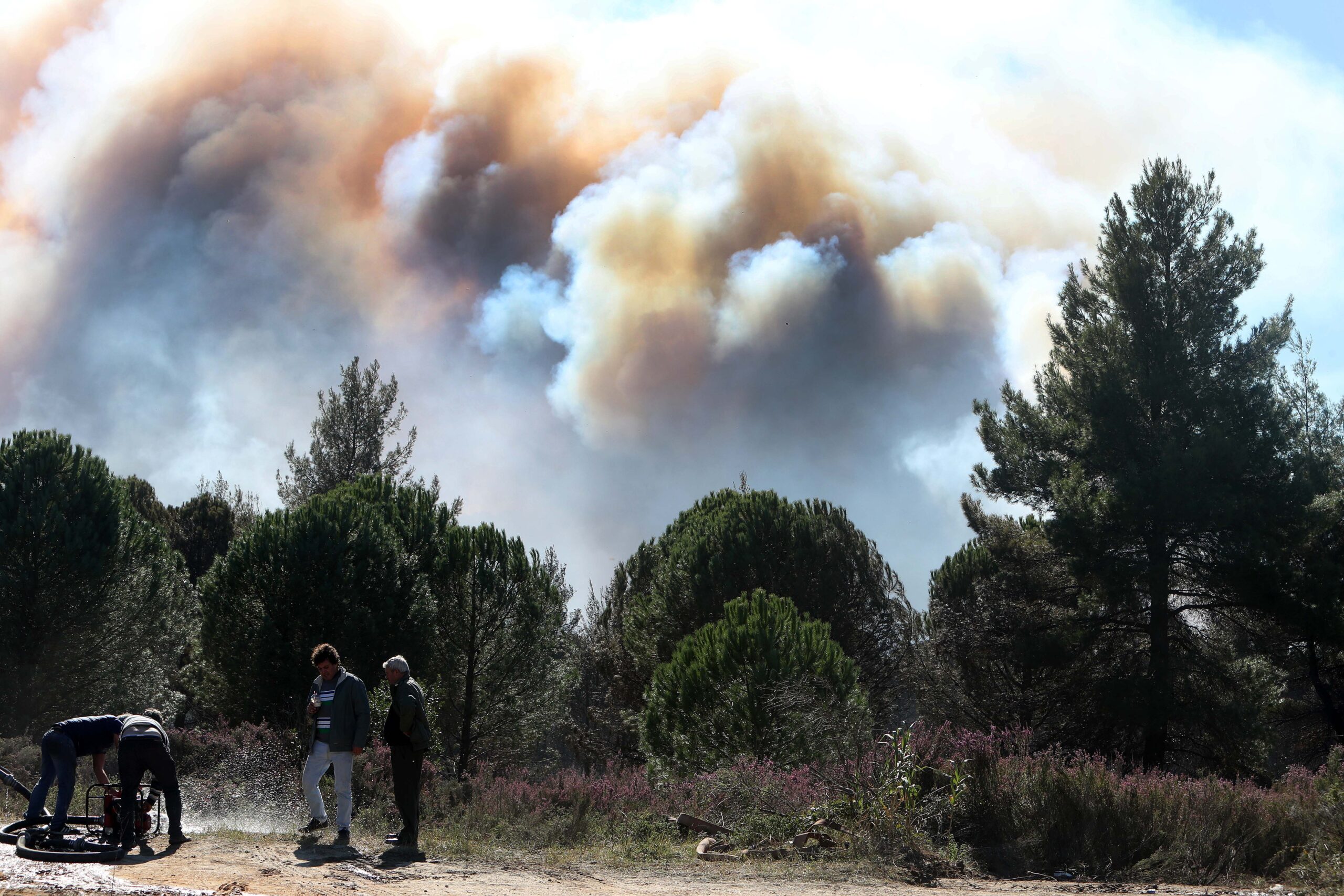 Κάρυστος – Σε τρία μέτωπα η πυρκαγιά: Μήνυμα 112 για εκκενώσεις ...