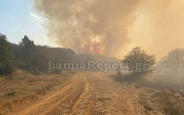 Ανεξέλεγκτη η φωτιά στη Φθιώτιδα: Εκκενώθηκε το Λογγίτσι – Μάχη με τα ...