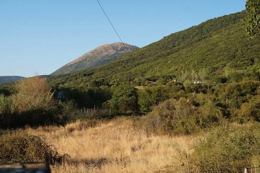 Μυτιλήνη: Γνωρίστε τα δάση που είχε η Λέσβος πριν από εκατομμύρια χρόνια