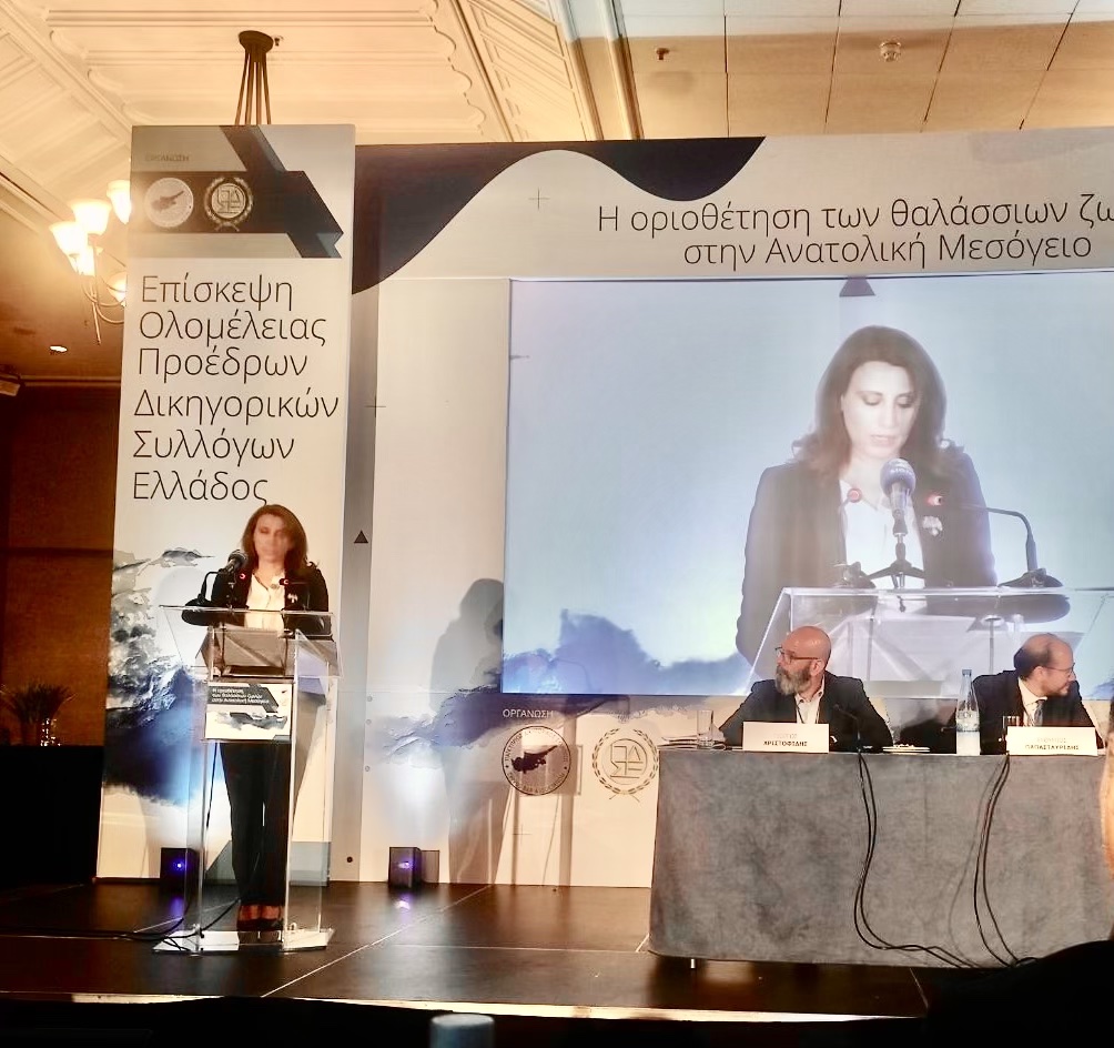 Νίνα Κασιμάτη στη Λευκωσία: Η διεθνής ατιμωρησία της Τουρκίας ...