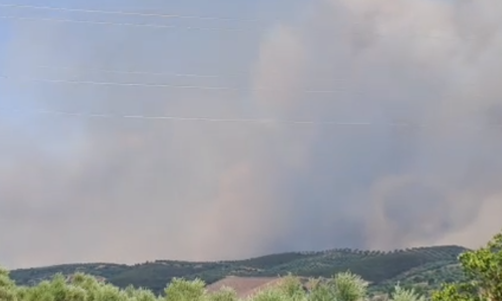 Ανεξέλεγκτη η φωτιά στο Λευκόχωμα Λακωνίας λόγω ανέμων: Καίει δασική ...