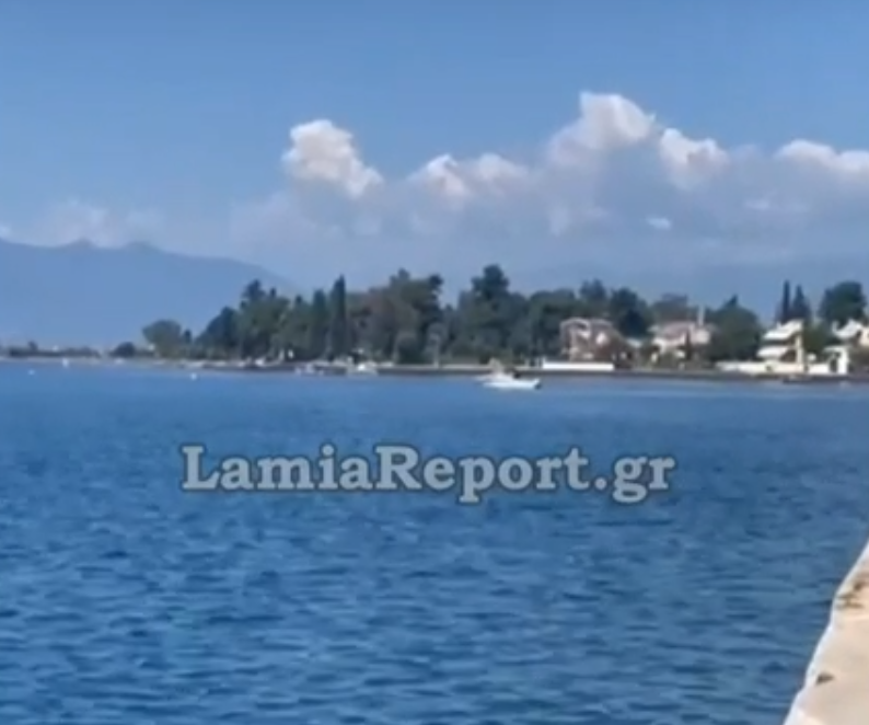 Φθιώτιδα: Το τραγικό παρελθόν των θυμάτων του διπλού πνιγμού – Ο ...