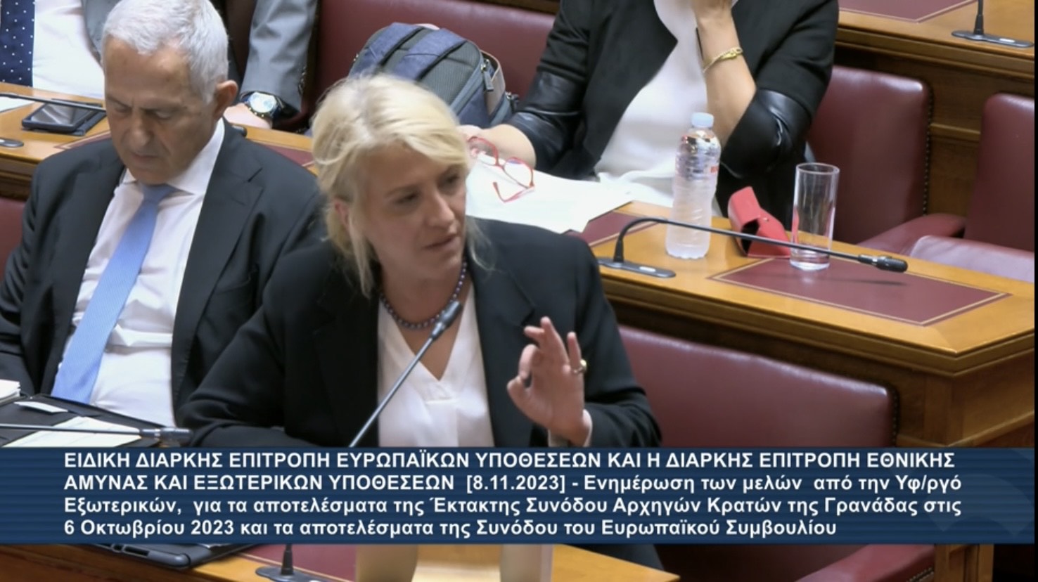 Ρένα Δούρου: «Θα ταχθεί επιτέλους ο κ. Μητσοτάκης υπέρ της κατάπαυσης ...