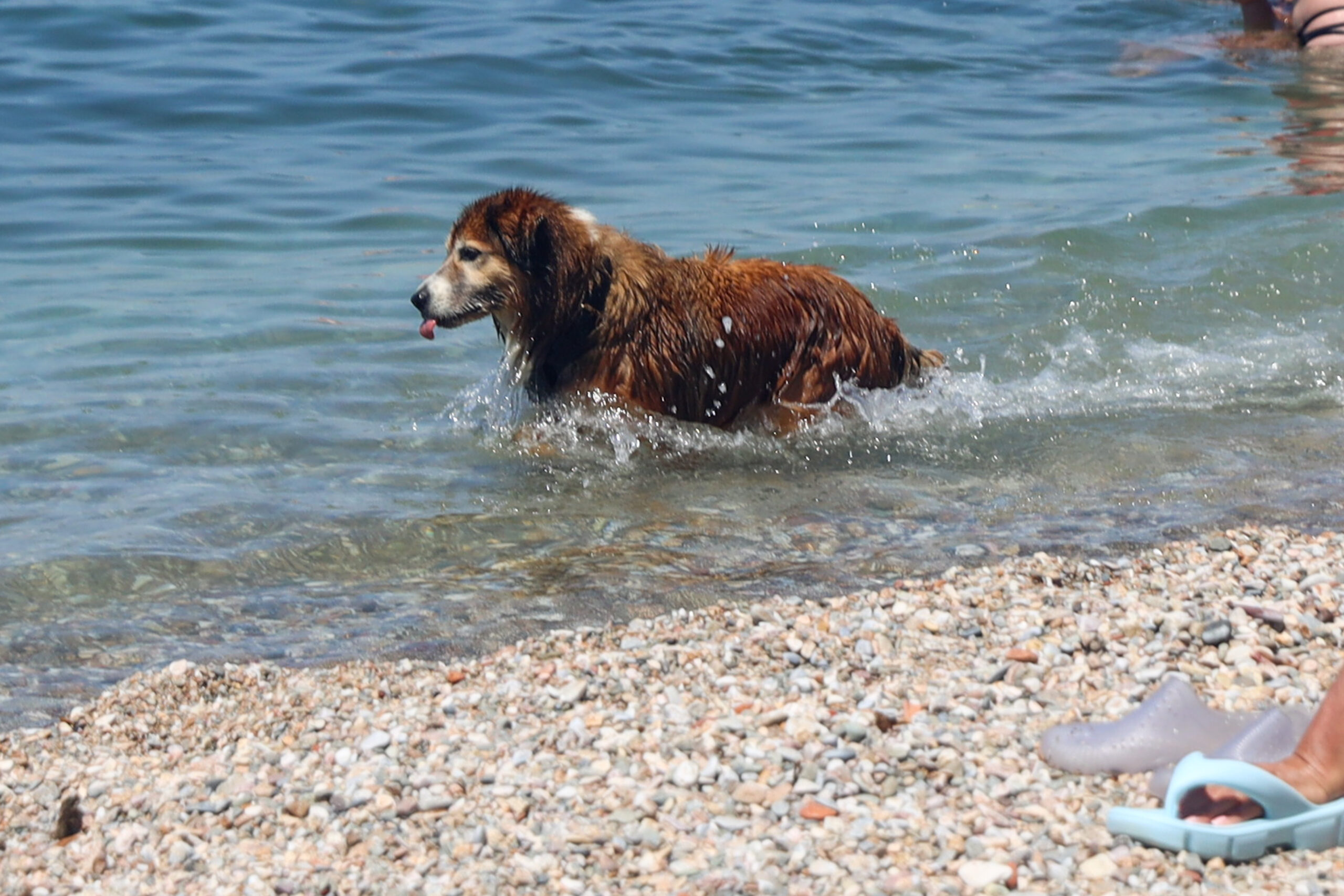Σε συνθήκες καύσωνα η μισή χώρα: Τους 38°C θα φτάσει ο υδράργυρος – Οι ...