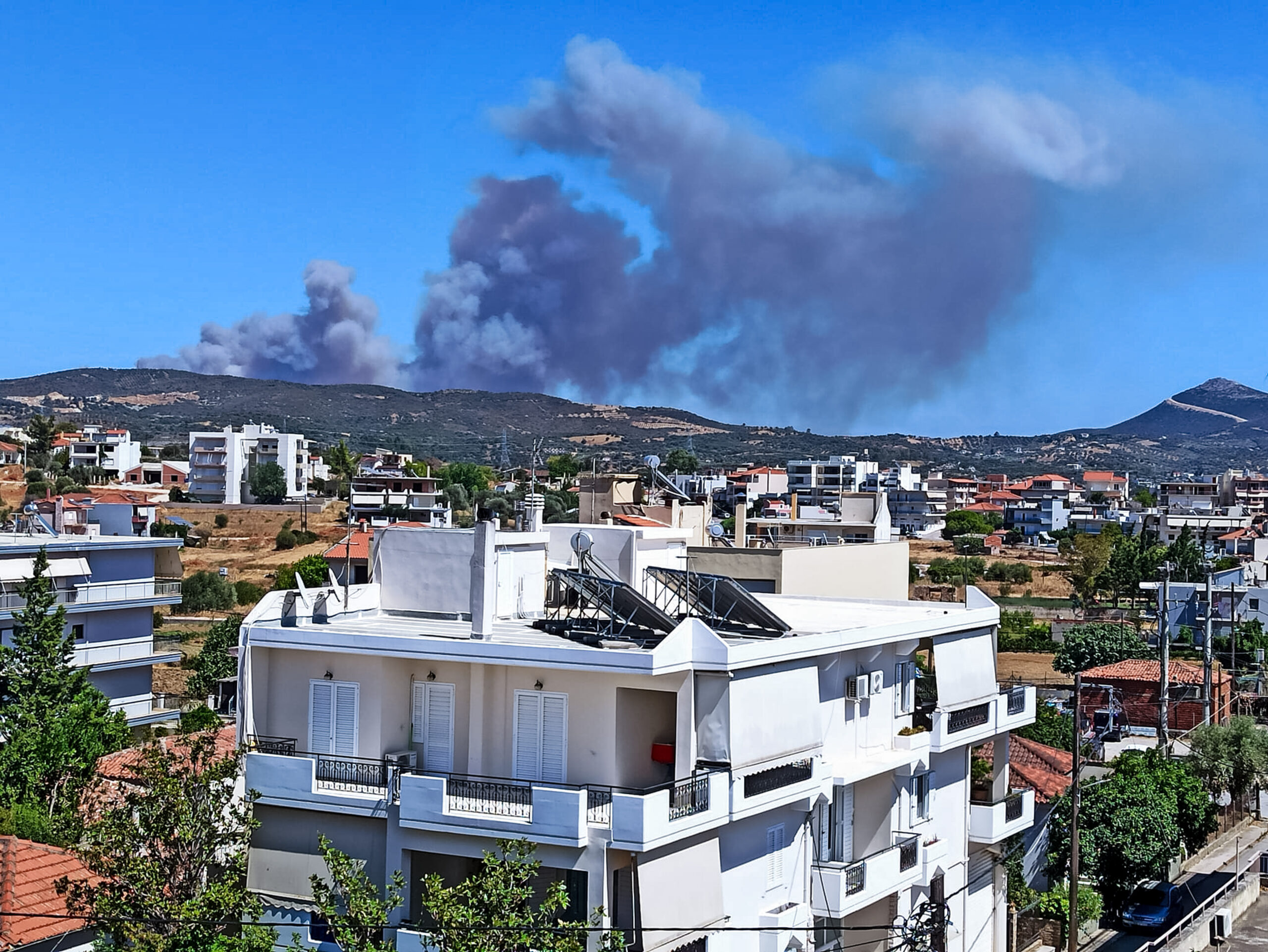 Φωτιά στην Εύβοια: «Τα μποφόρ καθοδηγούν τις φλόγες» – Ενισχύονται οι ...