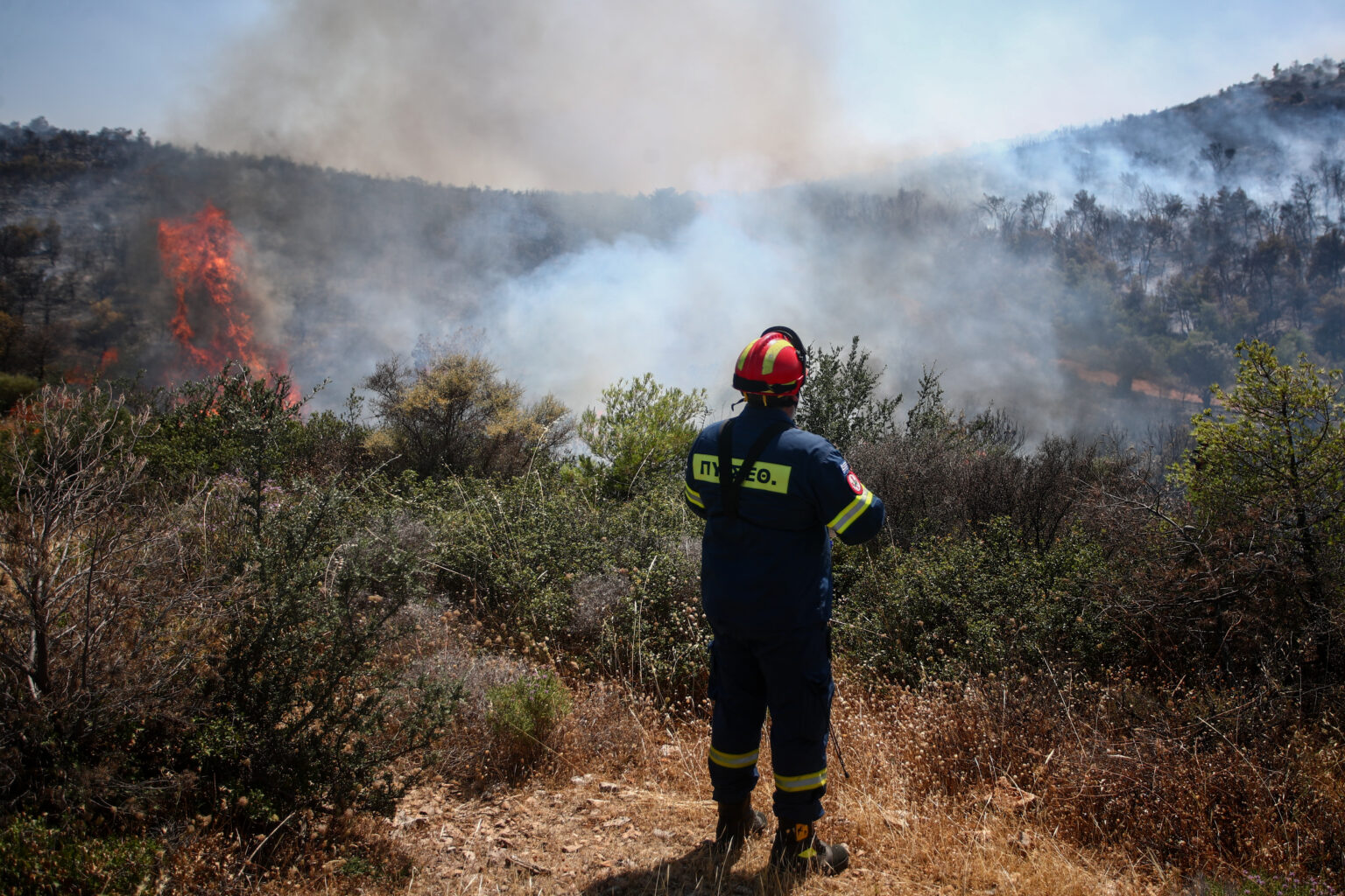 Συναγερμός στη Μυτιλήνη: Ξέσπασε πυρκαγιά στη Φίλια