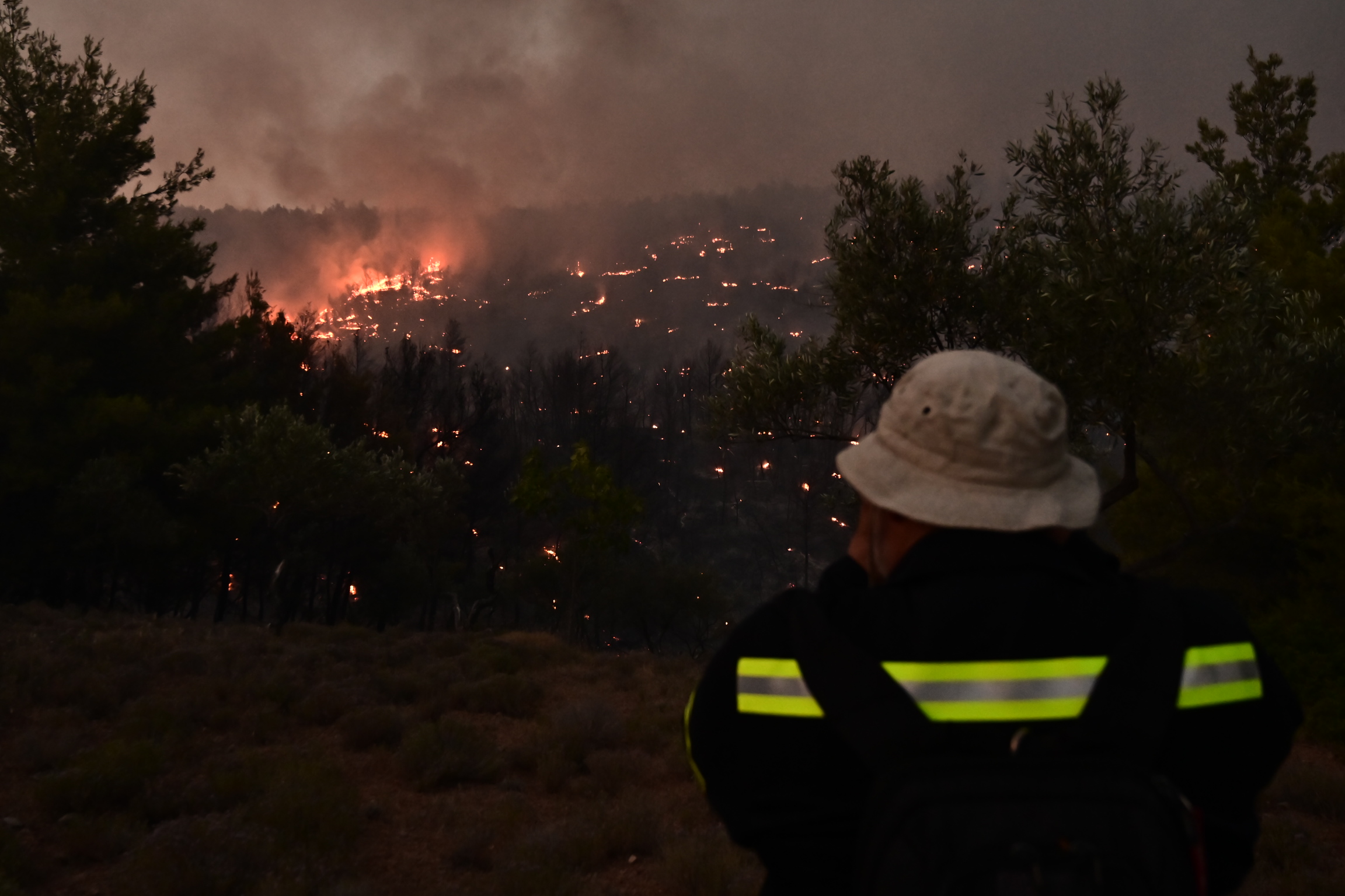 Πυροσβεστική: 31 αγροτοδασικές πυρκαγιές το τελευταίο 24ωρο – Υπό ...