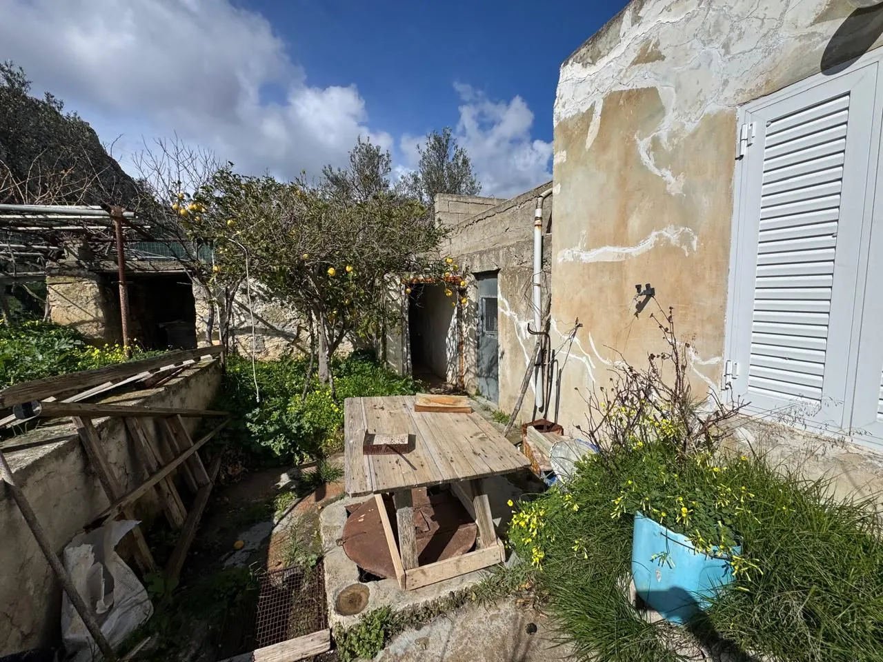 Φρίκη στη Βοιωτία: Η σοκαριστική υπόθεση με την 62χρονη που έθαψε στην ...