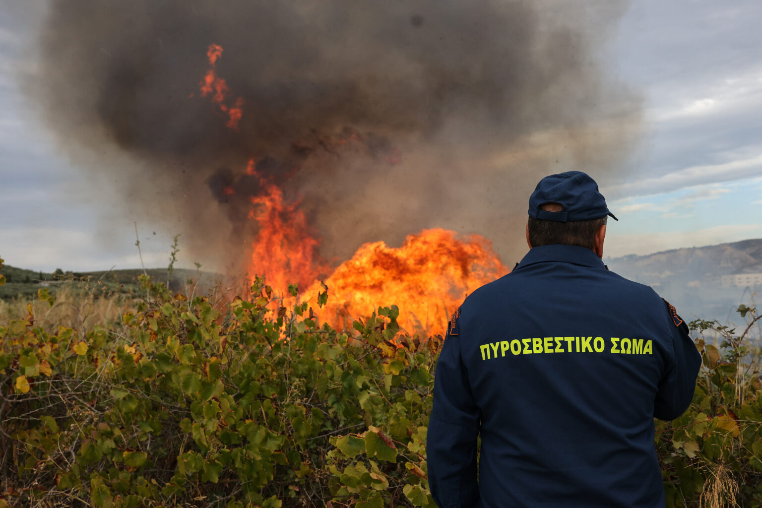 Πήλιο: Υπό έλεγχο η φωτιά σε δασική έκταση στο Νεοχώρι